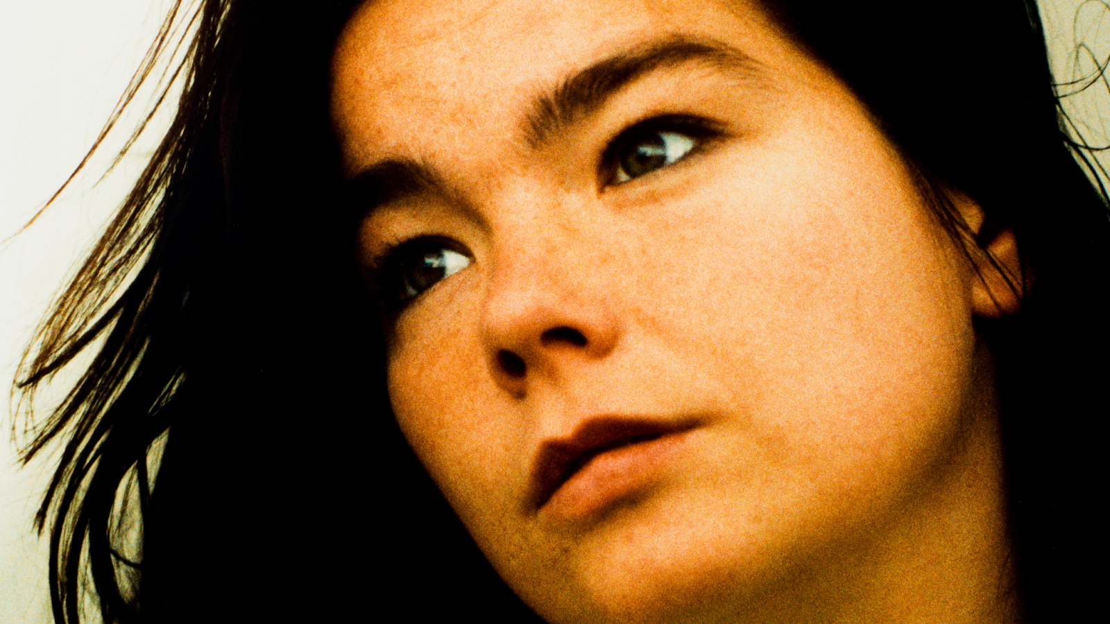 The Top 20 Björk Songs, Ranked